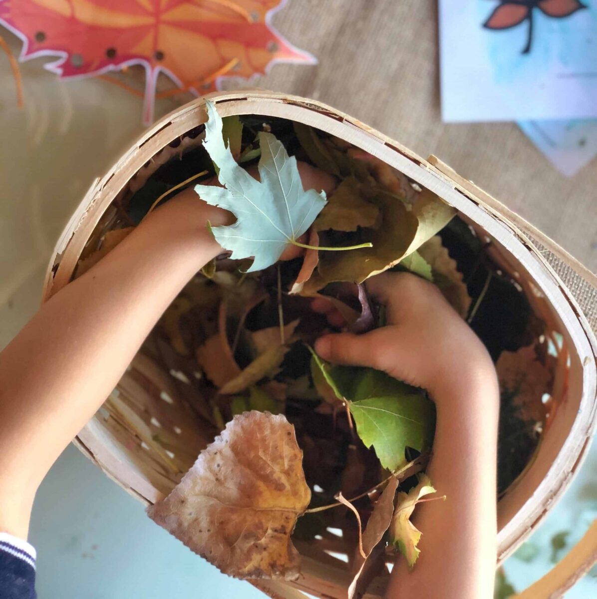 Fun Sensory Play with Changing Leaves Activities for Kids - Lil Tigers