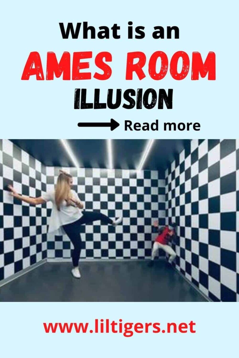 Optical Illusion - How Does the Ames Room Illusion Work - Lil Tigers