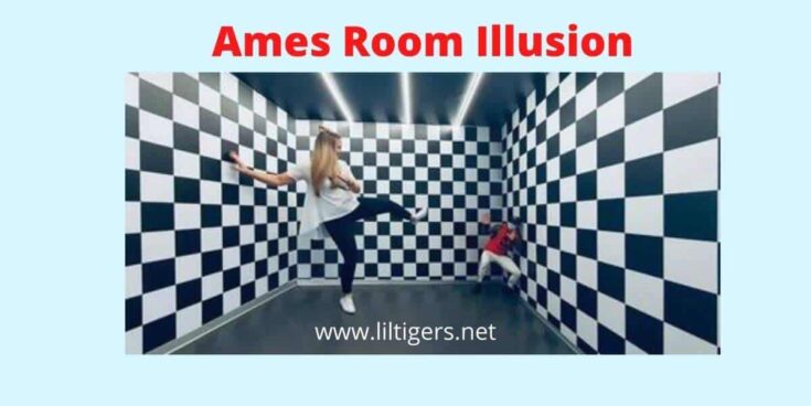 Optical Illusion - How Does the Ames Room Illusion Work - Lil Tigers