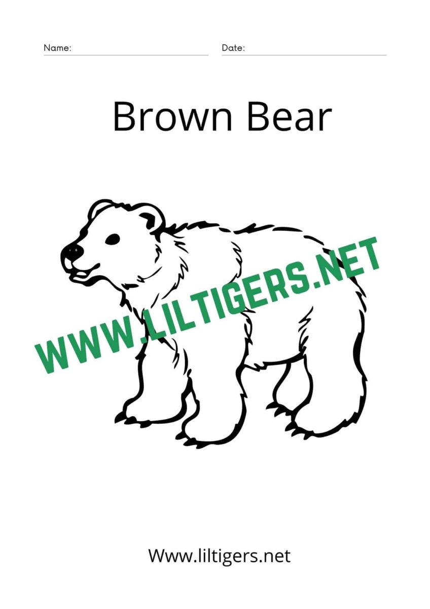 Free Printable Brown Bear Brown Bear Coloring Pages - Lil Tigers Lil Tigers