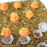 10 Easy Fall Sensory Bin Ideas for Preschoolers and Toddlers!