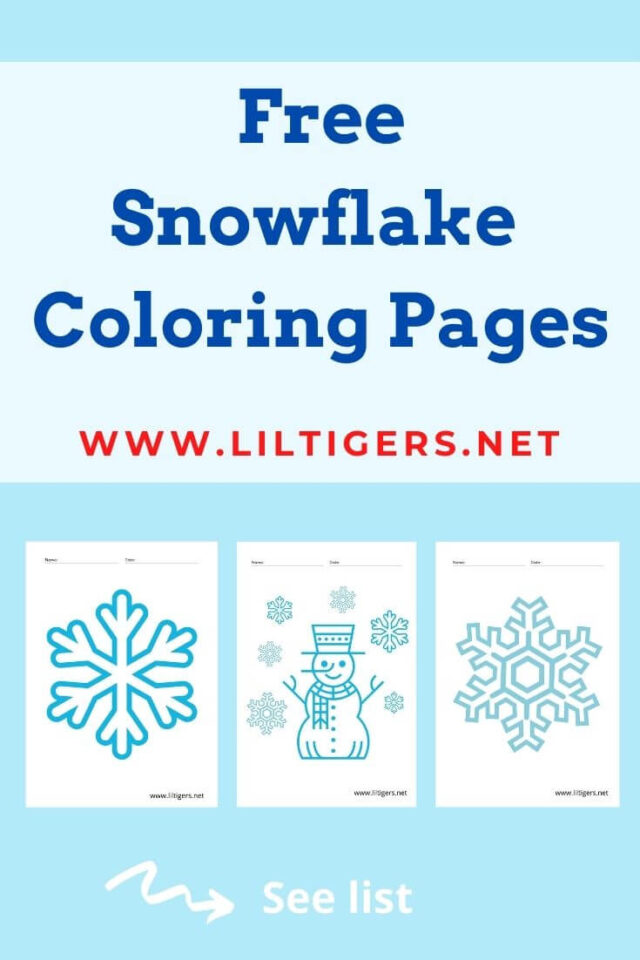 35 Best December Crafts for Kids - Lil Tigers
