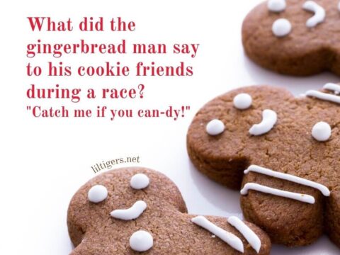 100 Best Gingerbread Man Jokes - Lil Tigers Lil Tigers
