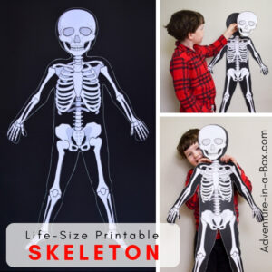 30 Fun Skeleton Crafts for Halloween - Lil Tigers Lil Tigers