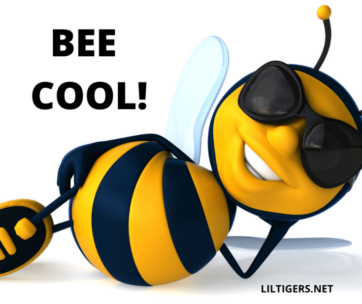 75 Best Bee Quotes and Inspirational Bee Sayings - Lil Tigers