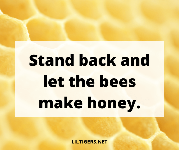 75 Best Bee Quotes and Inspirational Bee Sayings - Lil Tigers