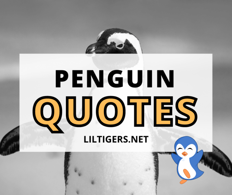 55 Best Penguin Quotes and Sayings - Lil Tigers