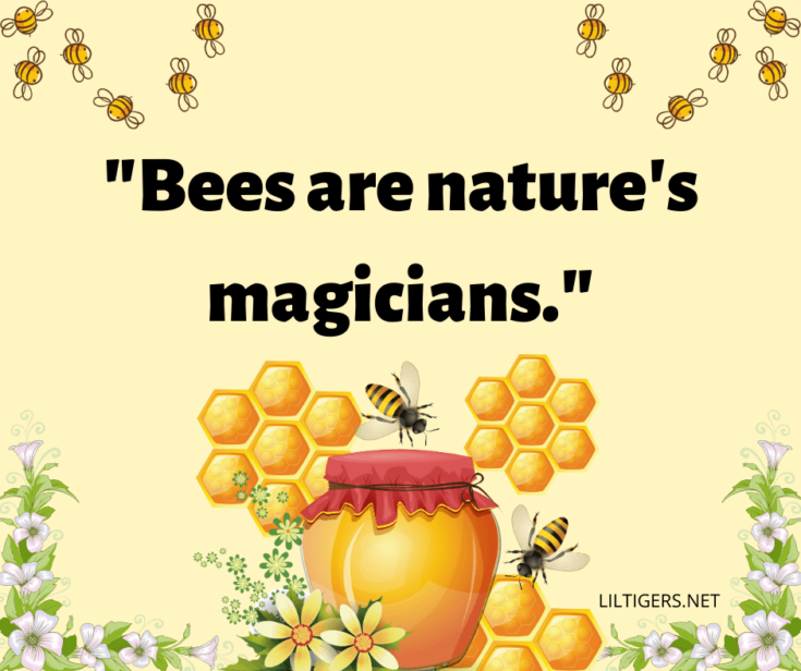 75 Best Bee Quotes and Inspirational Bee Sayings - Lil Tigers