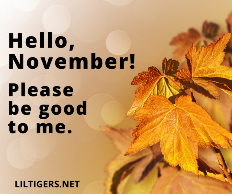 100 Inspirational Hello November Quotes, Sayings & Wishes 2025
