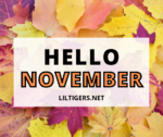 100 Inspirational Hello November Quotes, Sayings & Wishes 2024