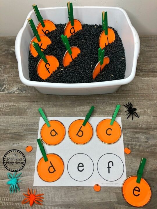 25 Best Backyard Pumpkin Patch Ideas and Activities - Lil Tigers