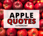 95 Best Apple Quotes, Sayings & Captions - Lil Tigers