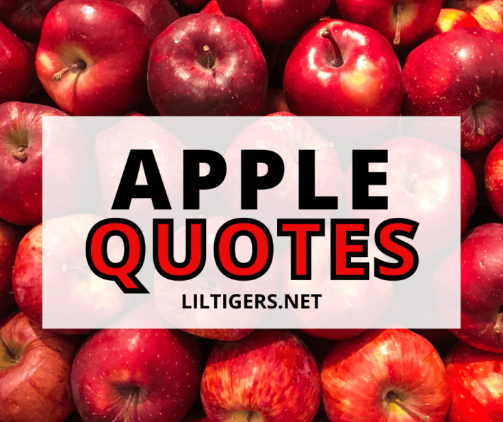 95 Best Apple Quotes, Sayings & Captions - Lil Tigers
