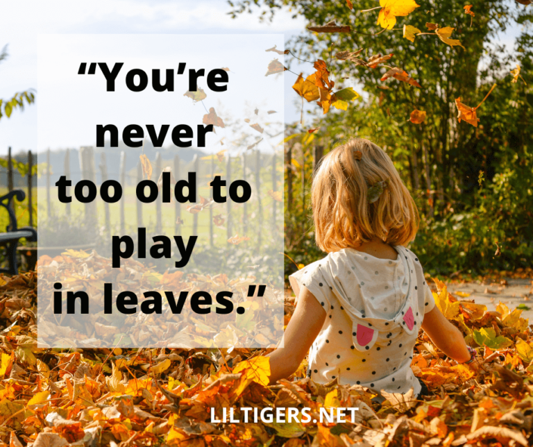 75 Best Leaf Quotes, Sayings & Captions - Lil Tigers