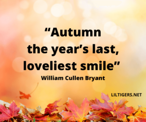 140 Best Fall Quotes and Sayings for Autumn - Lil Tigers