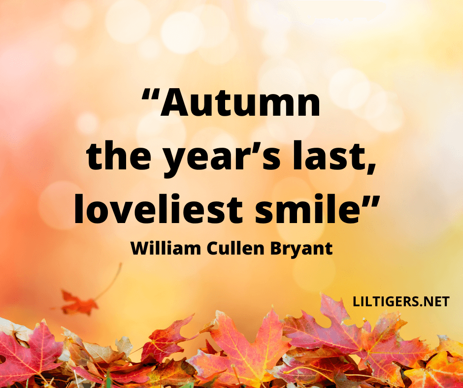 140 Best Fall Quotes And Sayings For Autumn Lil Tigers 140 Best Fall Quotes And Sayings For Autumn Lil Tigers