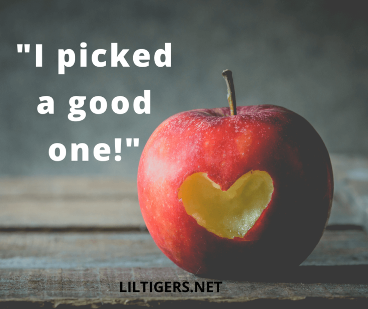 95 Best Apple Quotes, Sayings & Captions - Lil Tigers