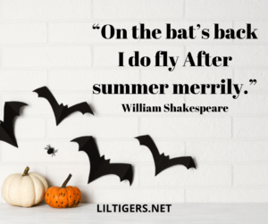 60 Best Bat Quotes - Lil Tigers
