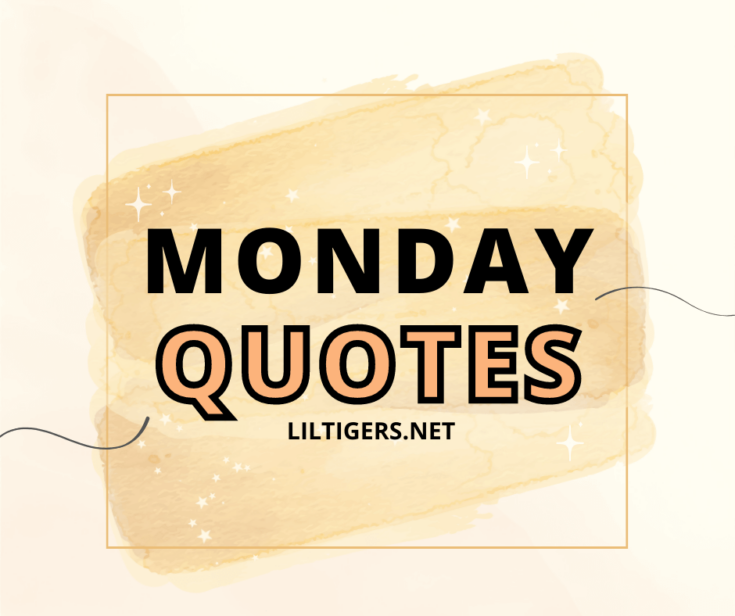 100+ Best Monday Motivation Quotes - Lil Tigers