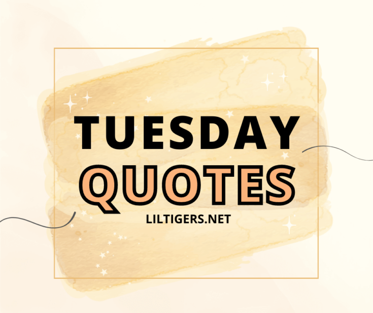 130 Best Tuesday Quotes to Stay Motivated - Lil Tigers
