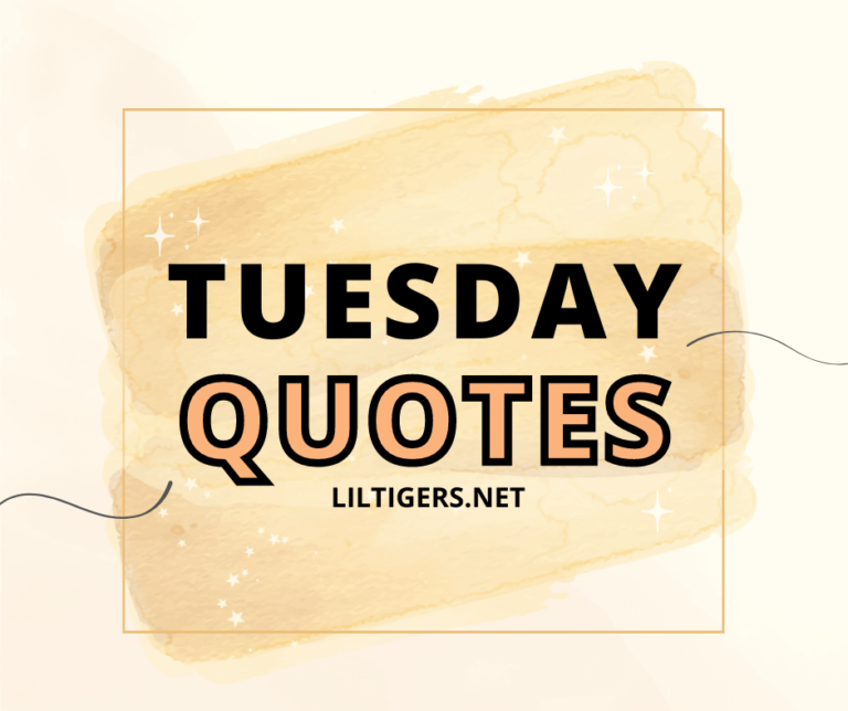 130 Best Tuesday Quotes to Stay Motivated - Lil Tigers