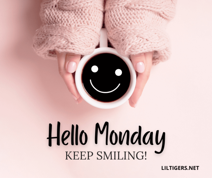 100+ Best Monday Motivation Quotes - Lil Tigers