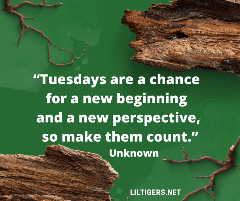 130 Best Tuesday Quotes to Stay Motivated - Lil Tigers