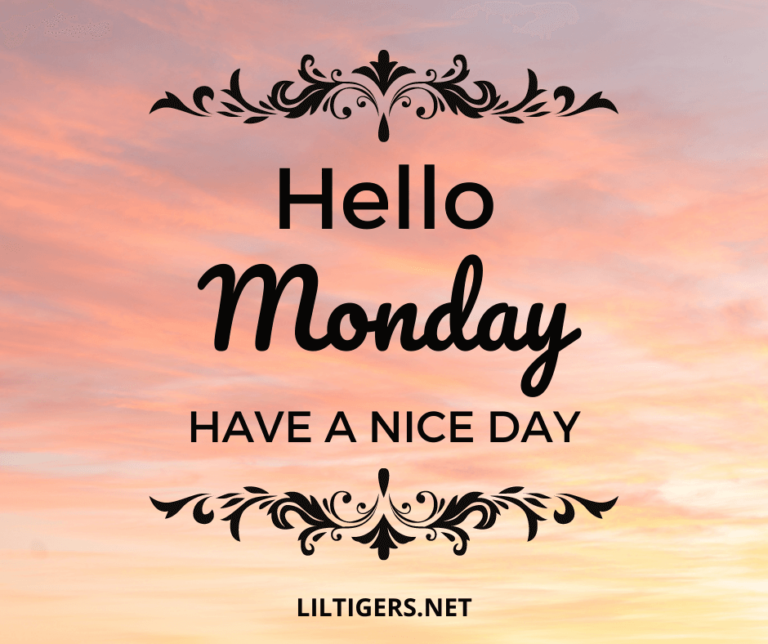 100+ Best Monday Motivation Quotes - Lil Tigers