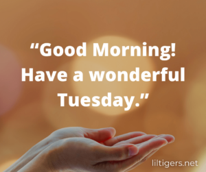 130 Best Tuesday Quotes to Stay Motivated - Lil Tigers