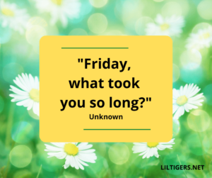 120 Best Friday Quotes to Start the Weekend - Lil Tigers
