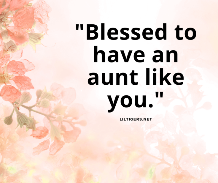 170 Best Aunt Quotes And Sayings Lil Tigers Lil Tigers 2284