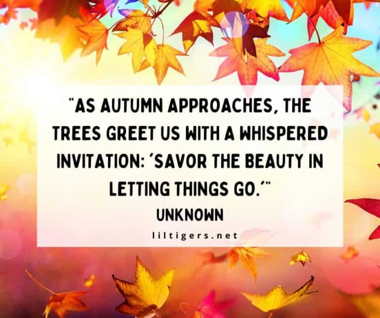 140 Best Fall Quotes and Sayings for Autumn - Lil Tigers
