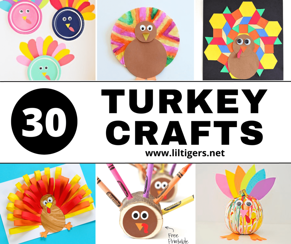 30+ Easy Turkey Crafts for Kids of All Ages - Lil Tigers lil tigers