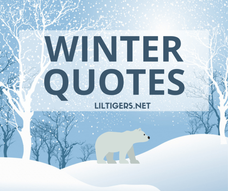 140 Best Winter Quotes and Sayings - Lil Tigers