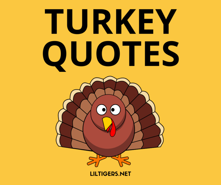60 Best Turkeys Quotes for Thanksgiving - Lil Tigers