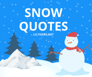 85 Best Snow Quotes and Sayings - Lil Tigers