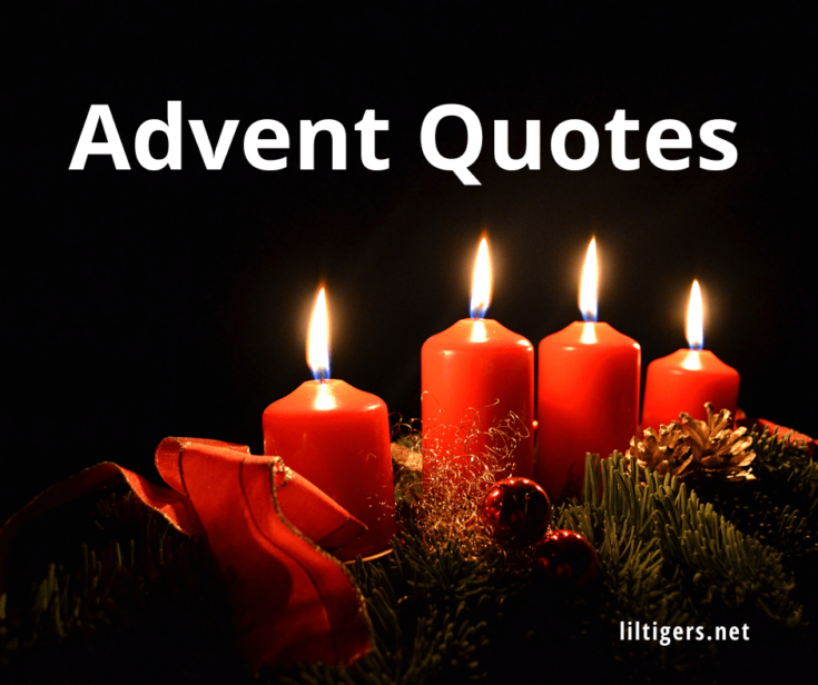 100 Best Advent Quotes, Sayings, and Wishes (2022) - Lil Tigers
