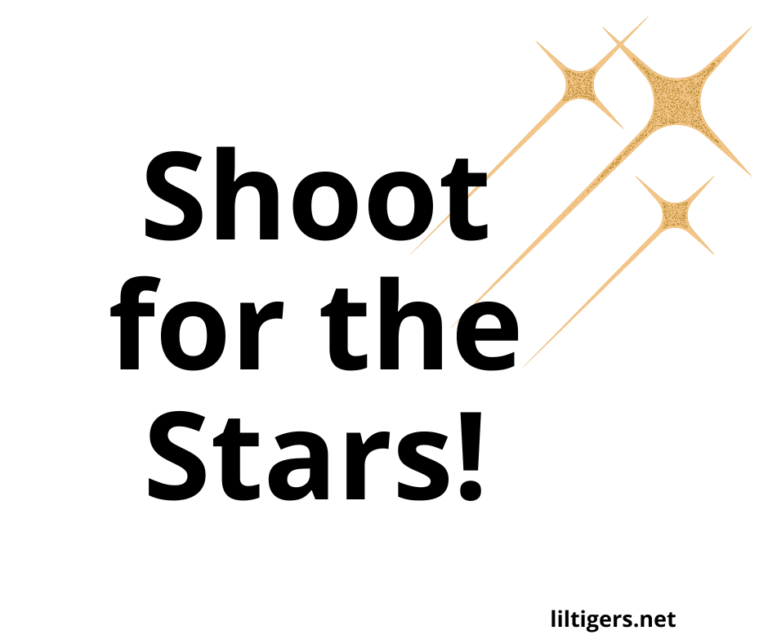 120 Inspiring Star Quotes and Phrases - Lil Tigers