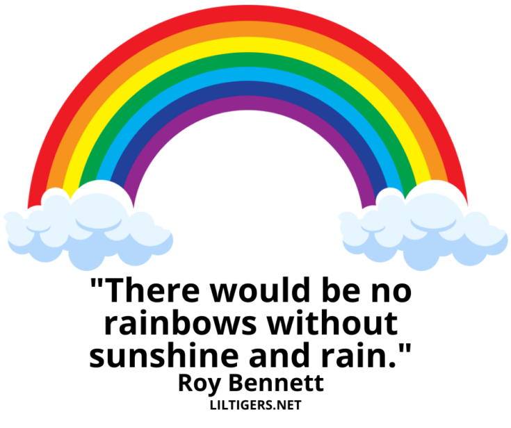 85 Best Rainbow Quotes and Sayings to Inspire - Lil Tigers