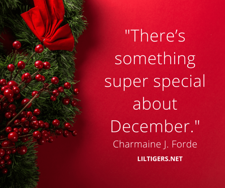 170 Best Hello December Quotes, Sayings, & Wishes (2023)