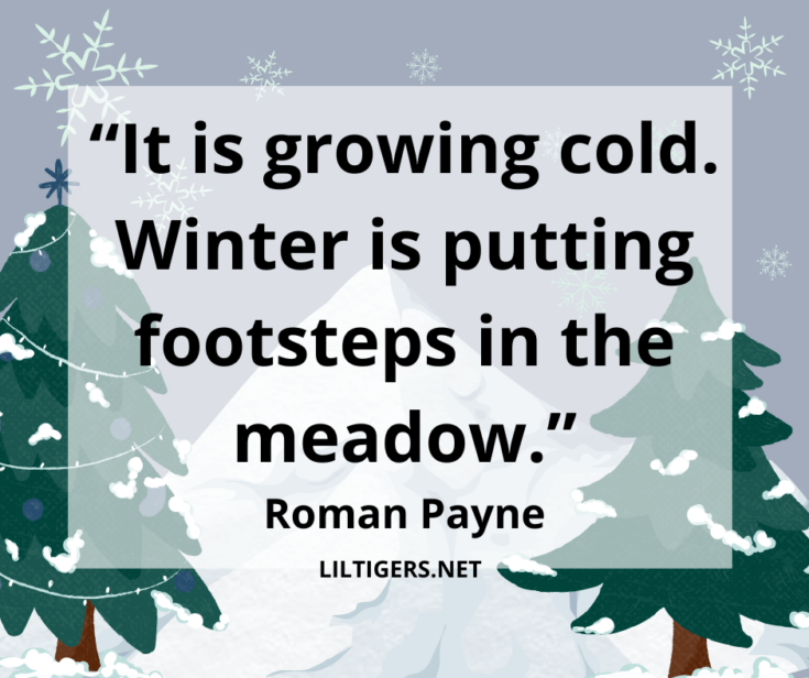 170 Best Hello December Quotes, Sayings, & Wishes (2023)