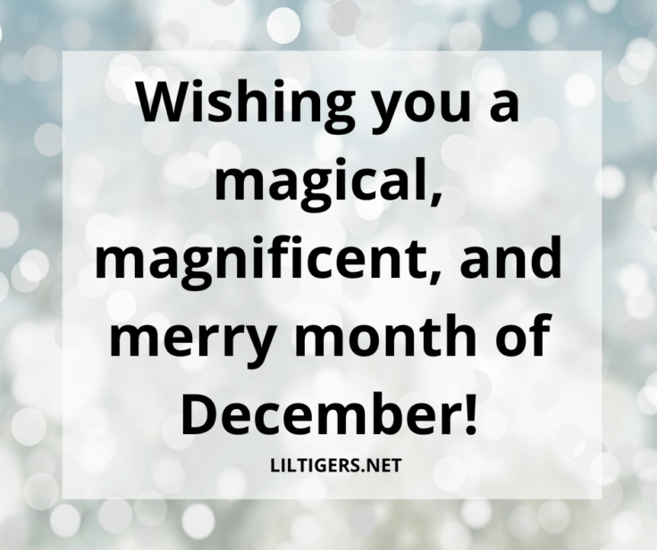 170 Best Hello December Quotes, Sayings, & Wishes (2023)