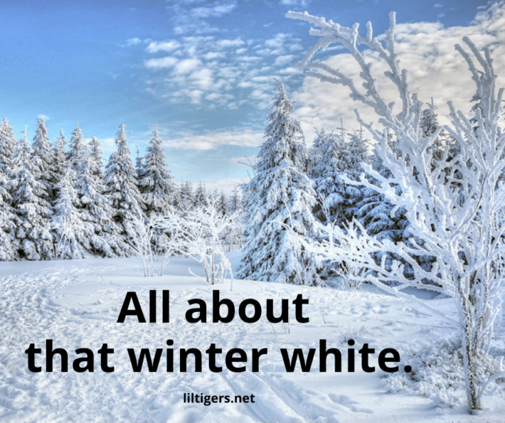 140 Best Winter Quotes and Sayings - Lil Tigers