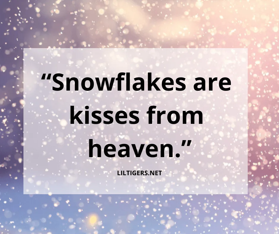 95 Best Snow Quotes And Sayings Lil Tigers