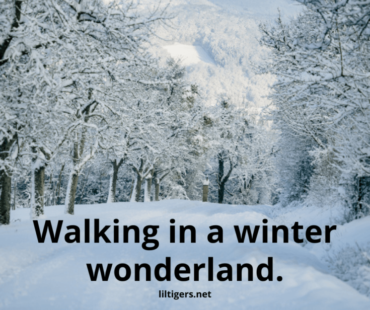 140 Best Winter Quotes and Sayings - Lil Tigers
