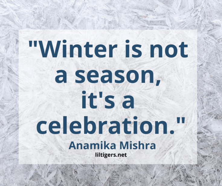 140 Best Winter Quotes and Sayings - Lil Tigers