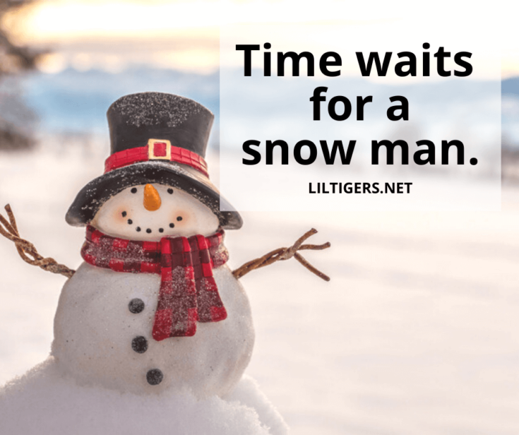 95 Best Snow Quotes and Sayings - Lil Tigers