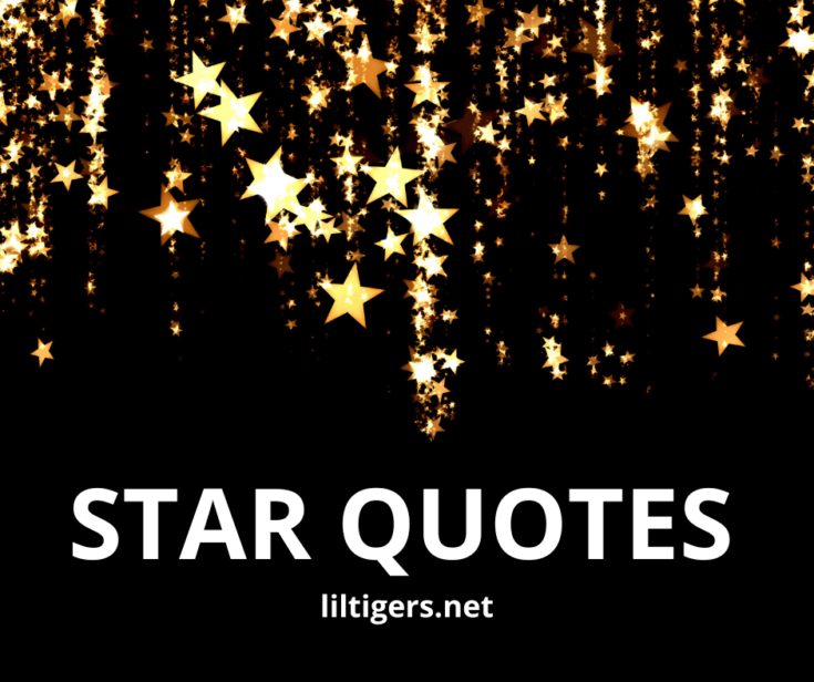 120 Inspiring Star Quotes and Phrases - Lil Tigers