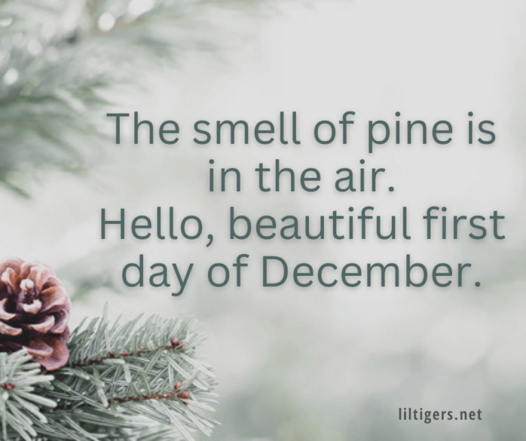 170 Best Hello December Quotes, Sayings, & Wishes (2023)