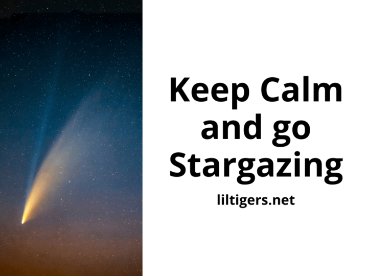 120 Inspiring Star Quotes and Phrases - Lil Tigers